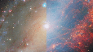 Betelgeuse Companion Found: A Game-Changer in Stellar Science"